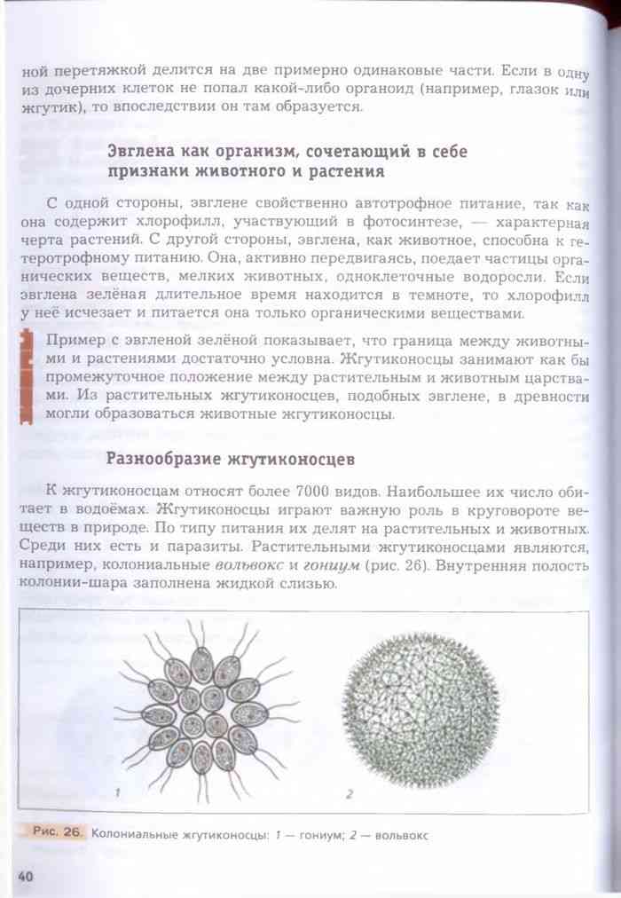 Учебник Биология 7 класс Константинов Бабенко читать онлайн